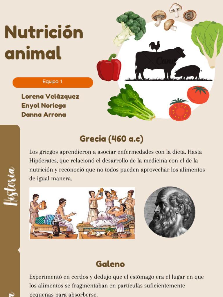 Nutrición animal | PDF | Nutrición | Dieta y nutrición