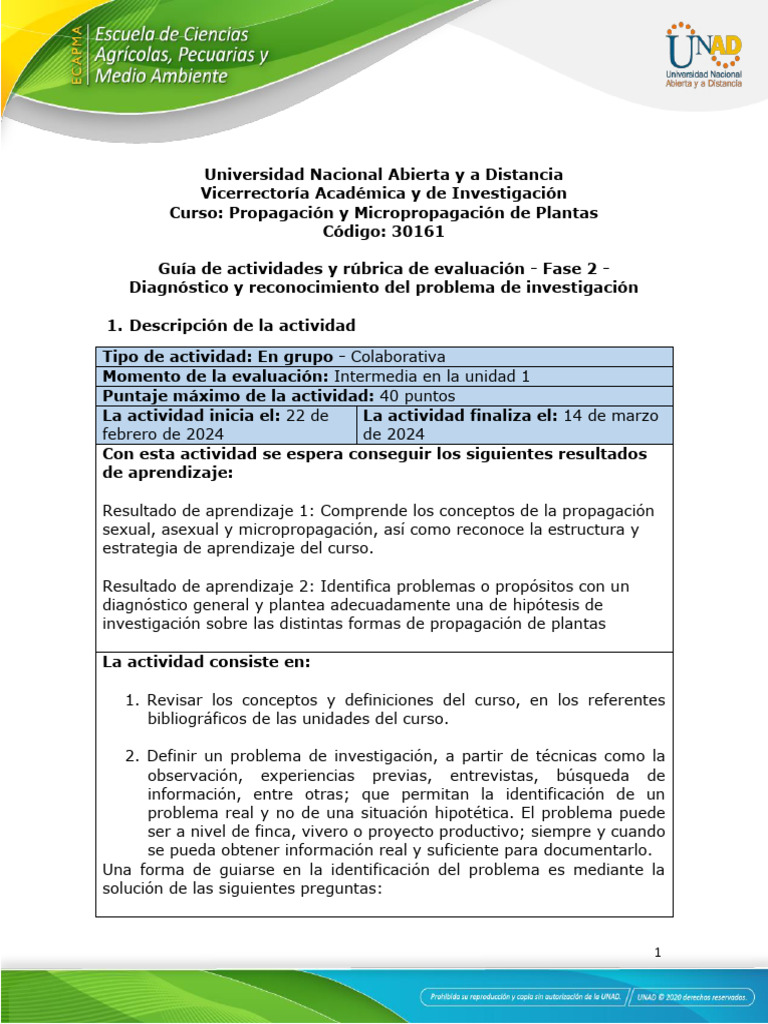Guía de Actividades y Rúbrica de Evaluación - Fase 2 - Diagnóstico y Reconocimiento Del Problema ...