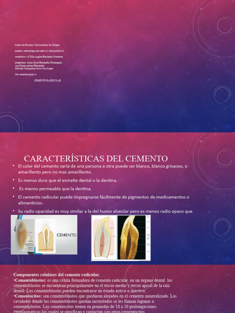 Cemento Radicular | PDF | Dentina | Diente
