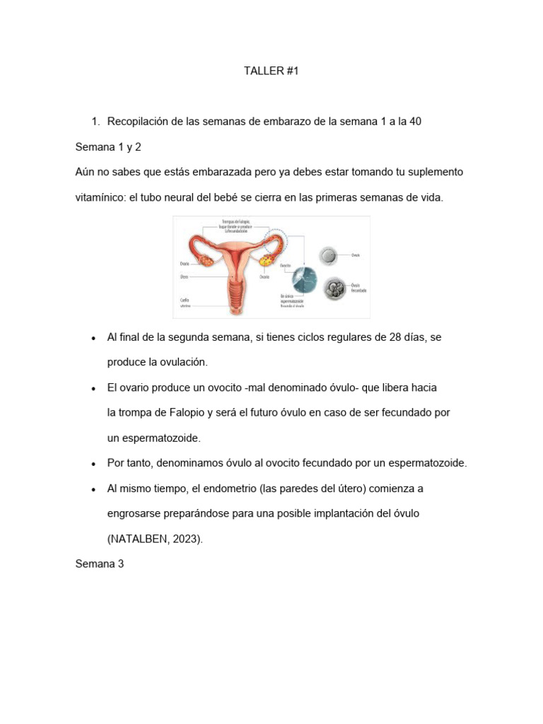 Taller 1 de Semanas de Embarazo | PDF