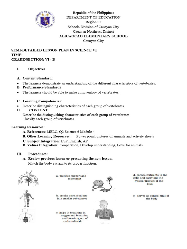 COT-LESSON-PLAN-SCIENCE | PDF | Learning | Lesson Plan