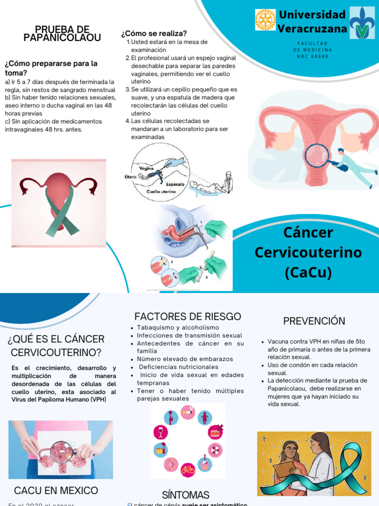 Tríptico Cáncer Cervicouterino | PDF