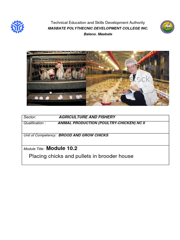 Module 10.2 | PDF | Birds | Screw Module 10.2 | PDF | Birds | Screw