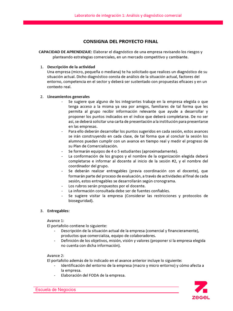 Consigna Proyecto Final Formato | PDF | Business | Análisis FODA