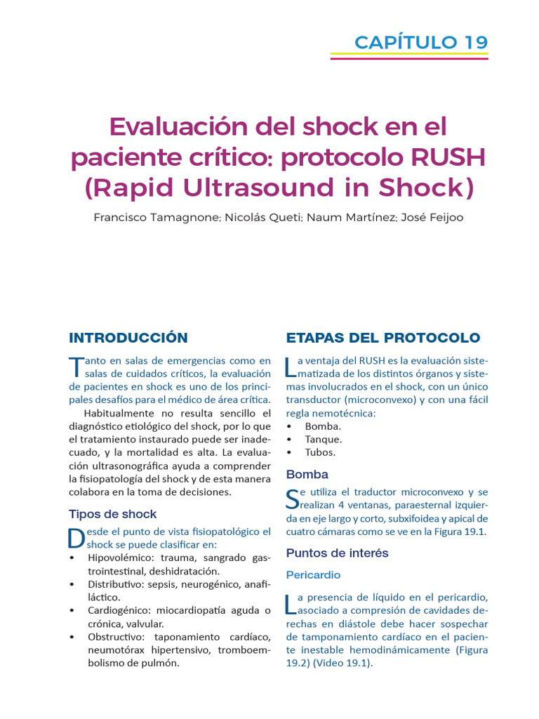 Protocolo Rush | Descargar gratis PDF | Vena | Fisiología