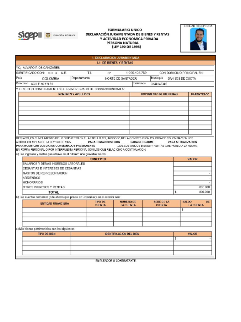 Formato Unico Bienes Ley 190 - 1995siget | PDF