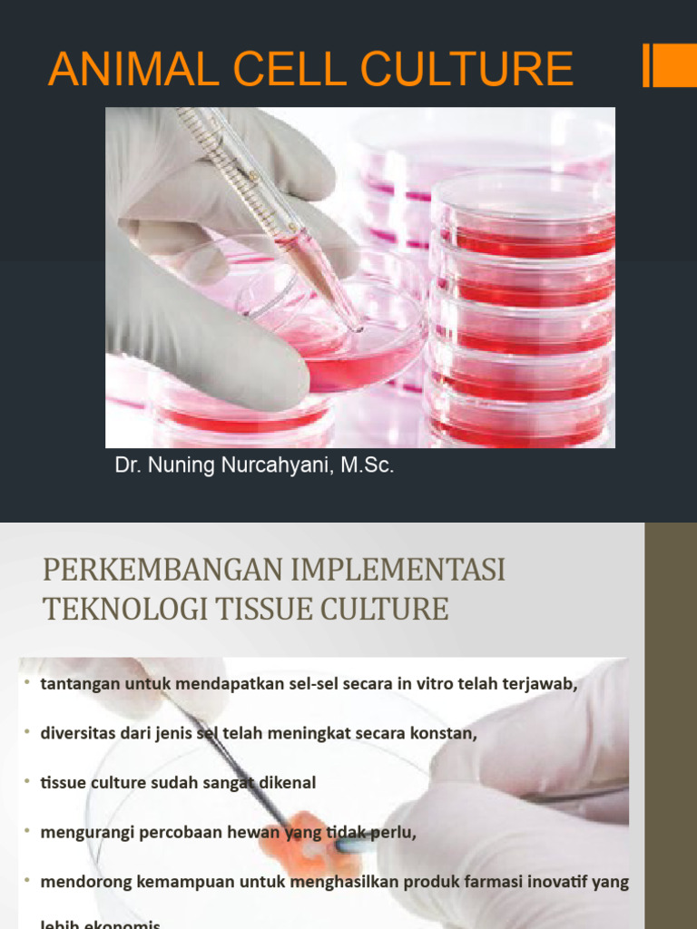 Introduction To Cell Culture (I) | PDF