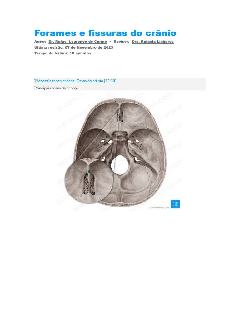 Forames e Fissuras Do Crânio | Download grátis PDF | Olho humano | Crânio