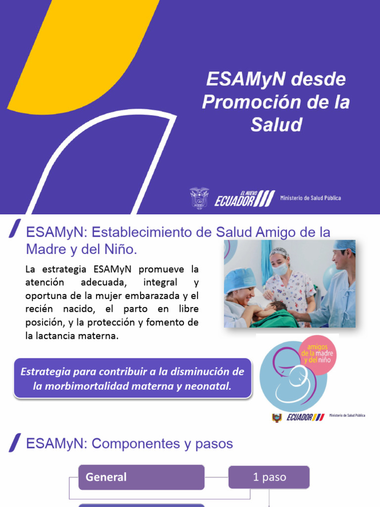 Estrategia Esamyn | Descargar gratis PDF | Amamantamiento | Ciencias de la Salud