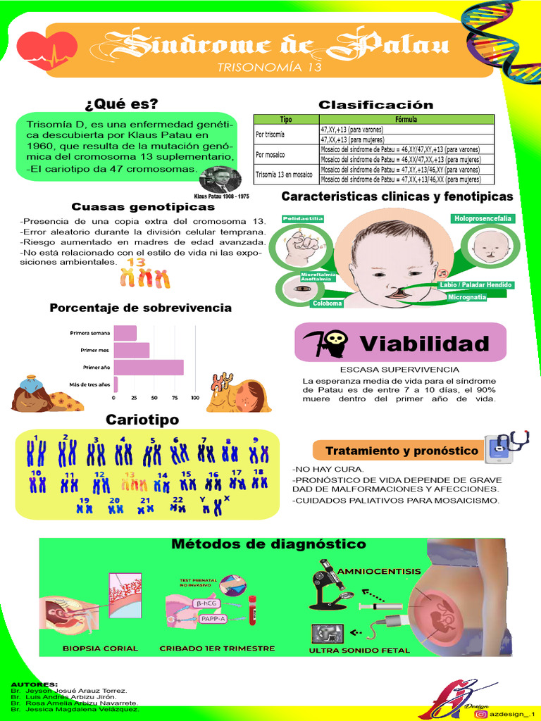 Sindrome de Patau Infografia | PDF | Nucleo celular | Genética
