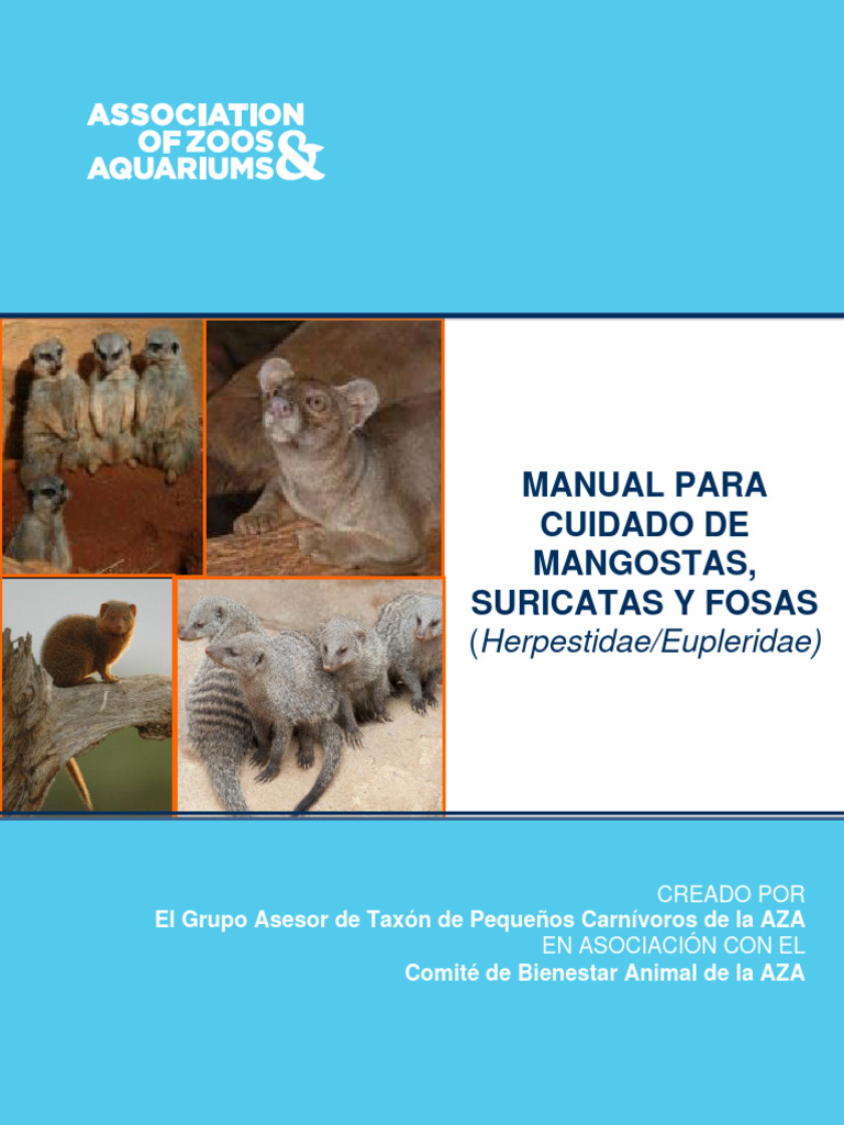 mongoose_meerkat_and_fossa_acm_spanish_alpza | PDF | Clima | Agua