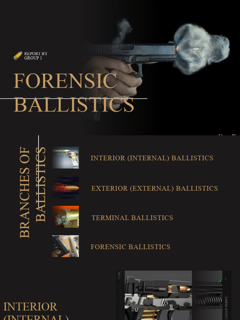 Ballistics 101 | PDF | Gun Barrel | Bullet