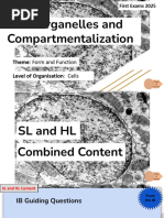 MYP5 Biology: Leaves and Photosynthesis | PDF | Leaf | Photosynthesis