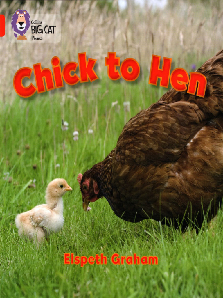 Chick To Hen | PDF