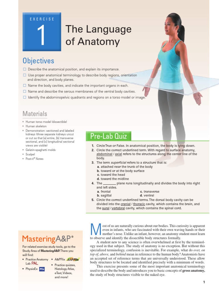 0020-0029 | PDF | Anatomical Terms Of Location | Anatomy