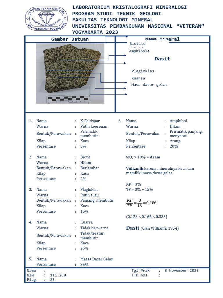 LEMBAR DESKRIPSI RFM Dasit | PDF