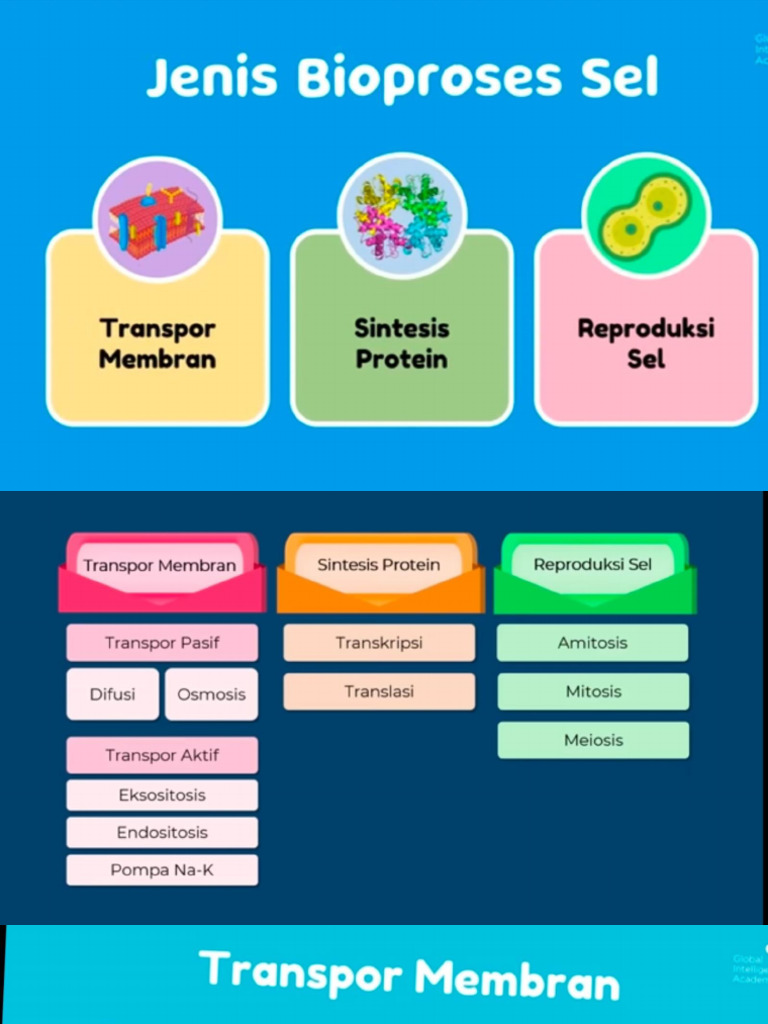 Jenis Bioproses Sel | PDF