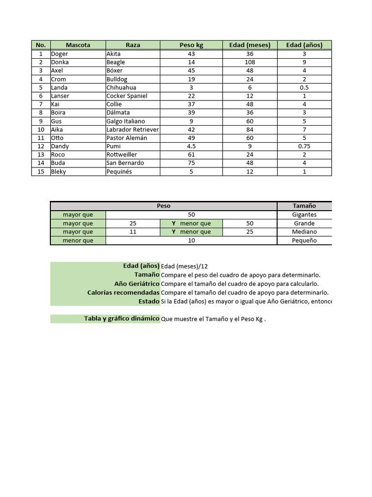 Libro de Ejercicios de Excel (II Parcial) | PDF | Cría de animales ...