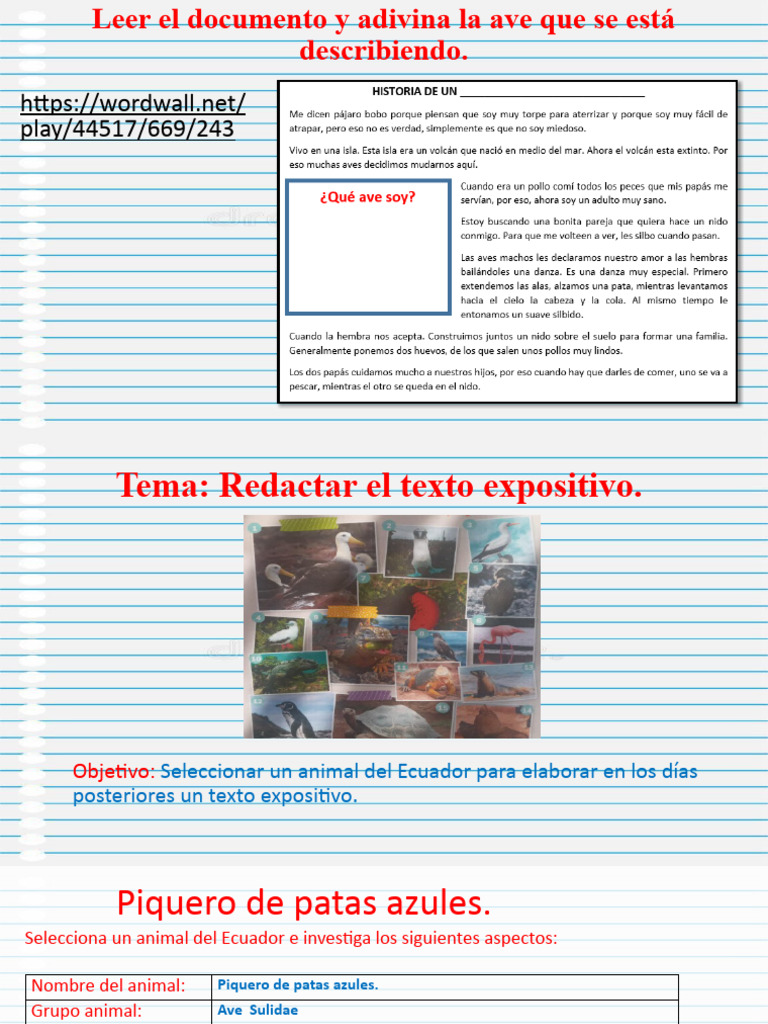 Texto Expositivo Redacción | PDF | Aves | Ornitología