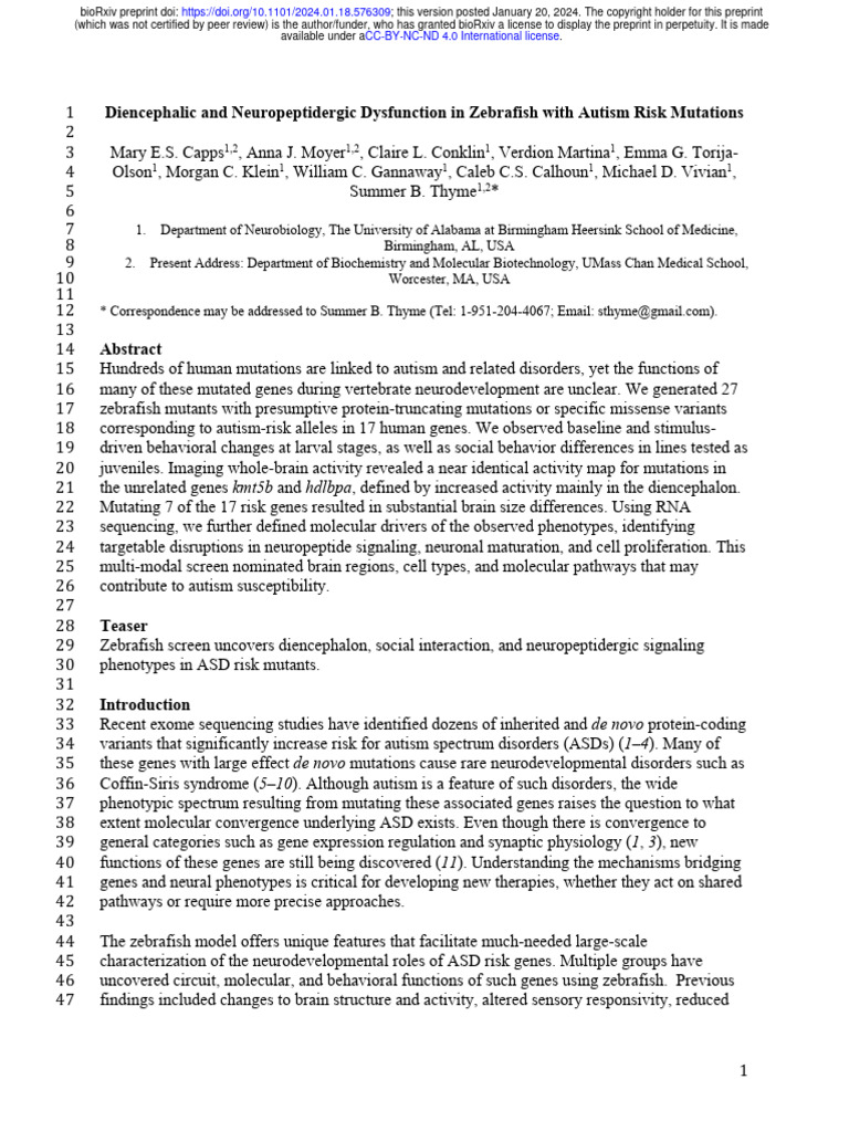 Diencephalic and Neuropeptidergic Dysfunction in Zebrafish With Autism ...