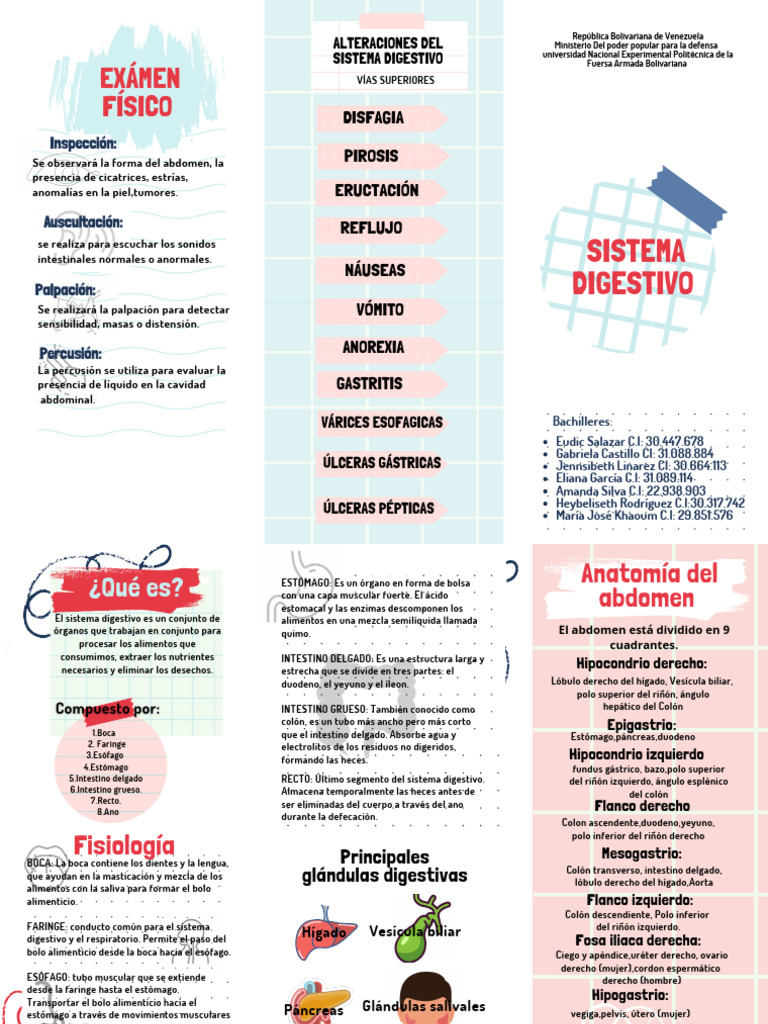 Triptico Del Sistema Digestivo Para