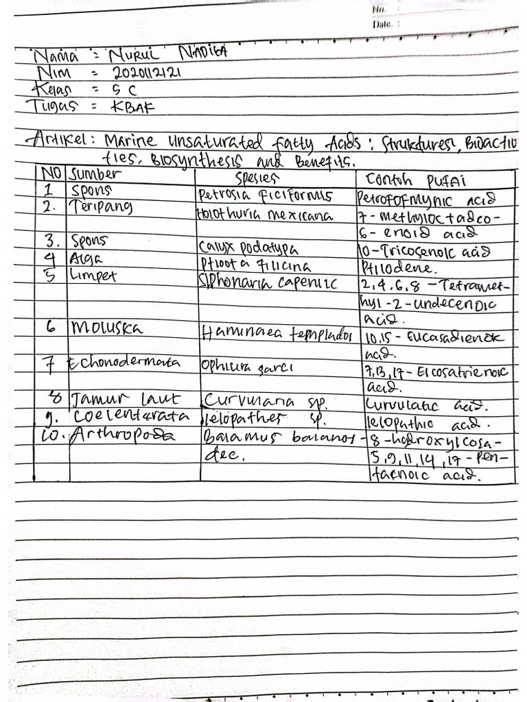 Tgs Kbak - Nurul Nadila - 2020112121 | PDF