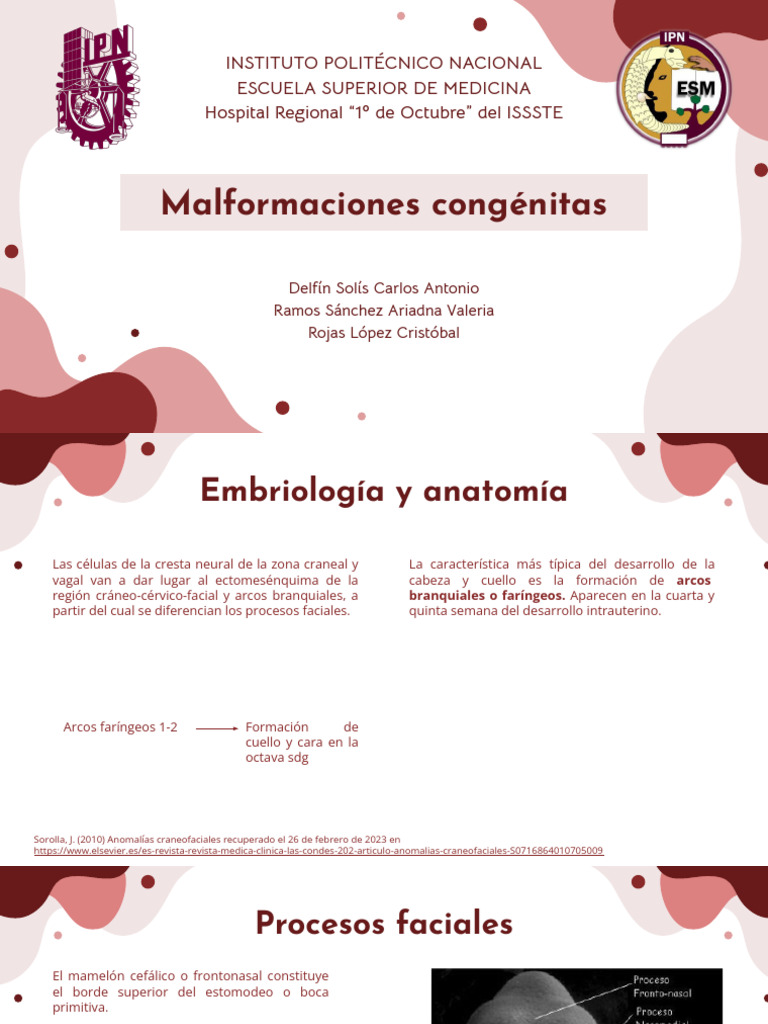 Malformaciones Congénitas | PDF | Enfermedades y trastornos | Cara