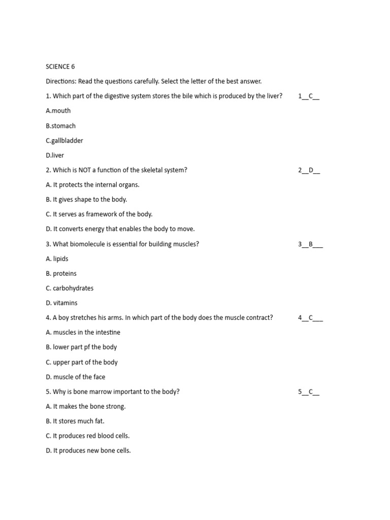 HUman Body Quiz | PDF | Lung | Human Body