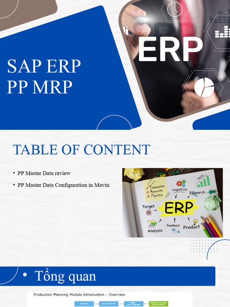 PP Seminar MRP | PDF