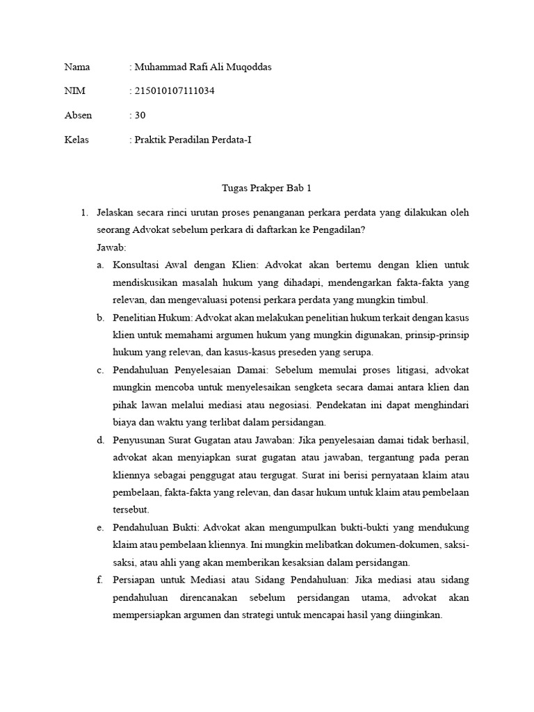 Prakper Tugas 1 Rafi Ali | PDF | Politik | Ilmu Sosial