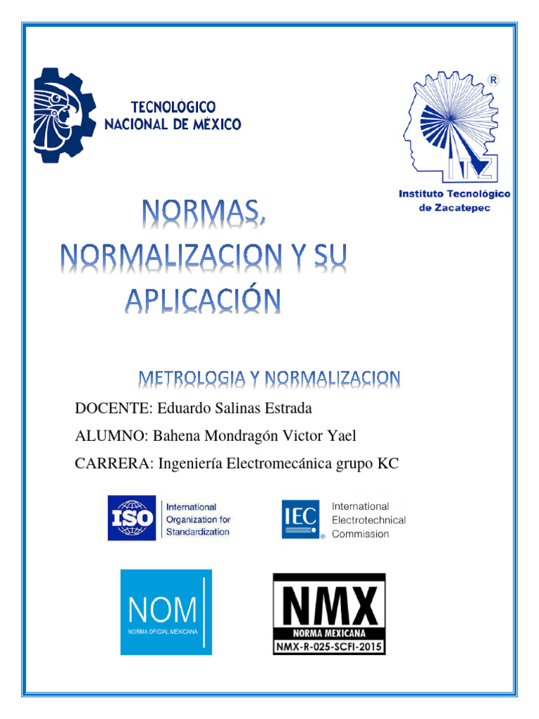 Normas y Normalizacion | PDF