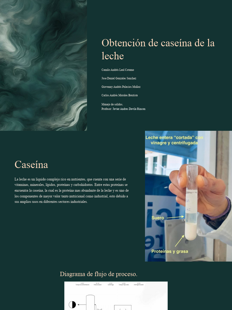 Obtencion-de-caseina-de-la-leche | PDF | Leche | Motores