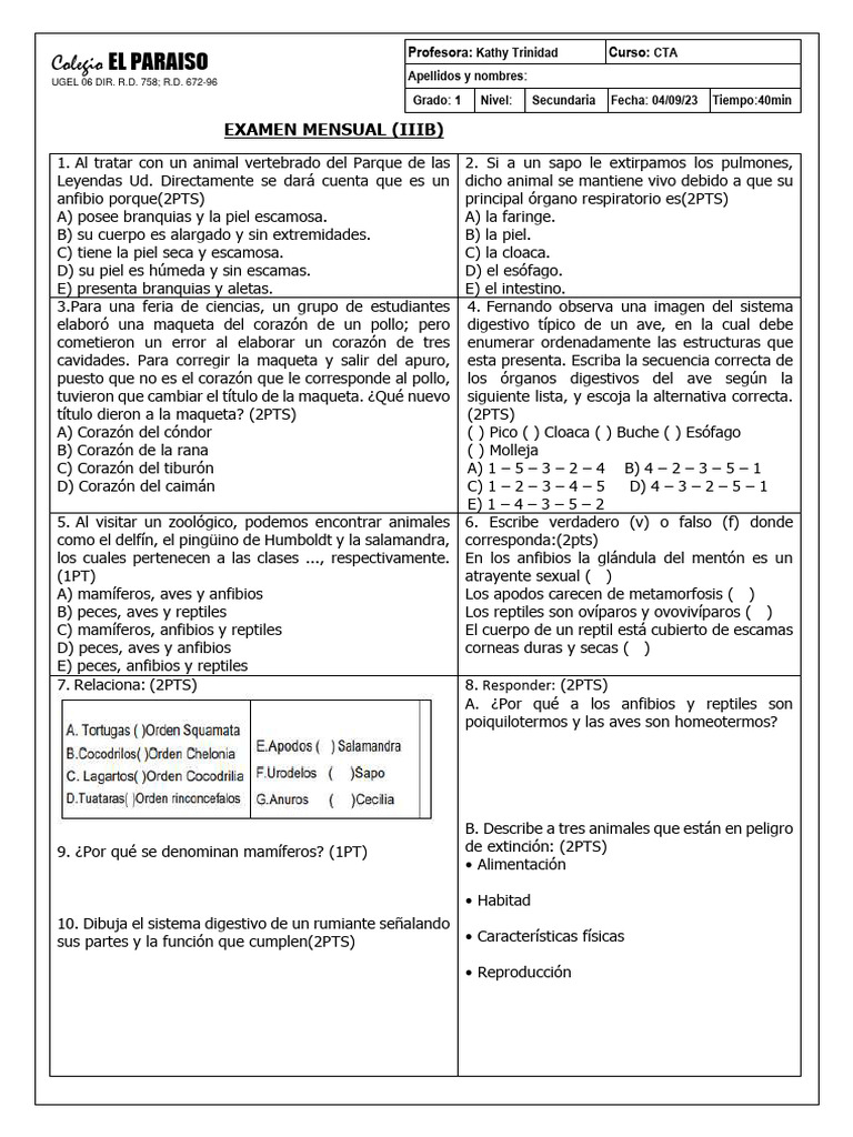 EXAMEN DE 1RO SEC | PDF | Anfibio | Reptil