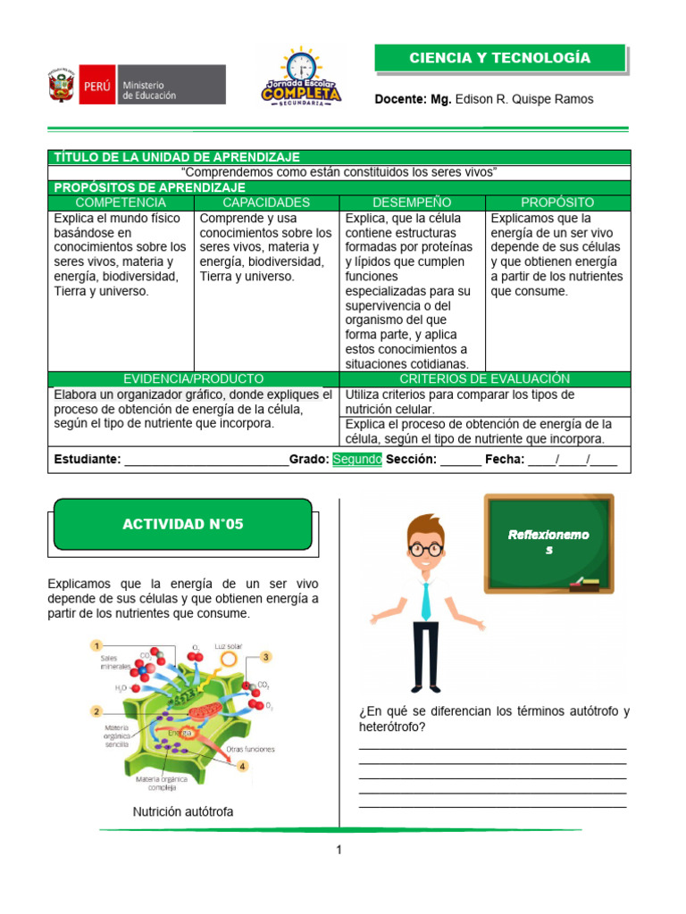 Actividad 05 | PDF