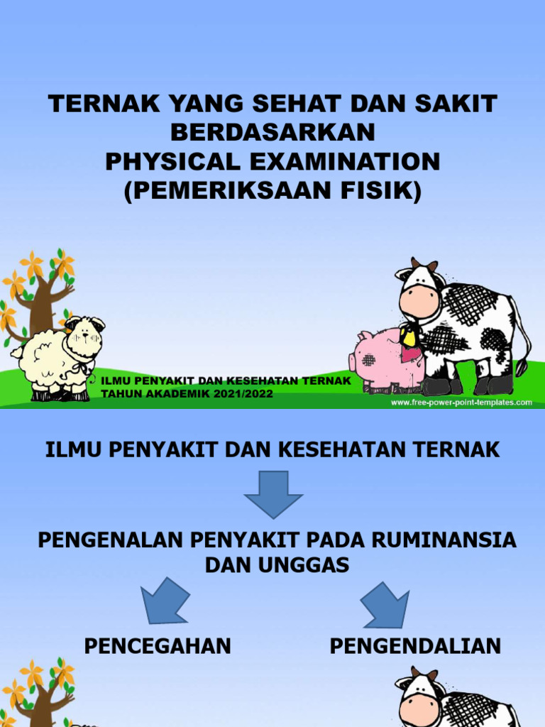 01B. Physical Examination 2022-Compressed | PDF