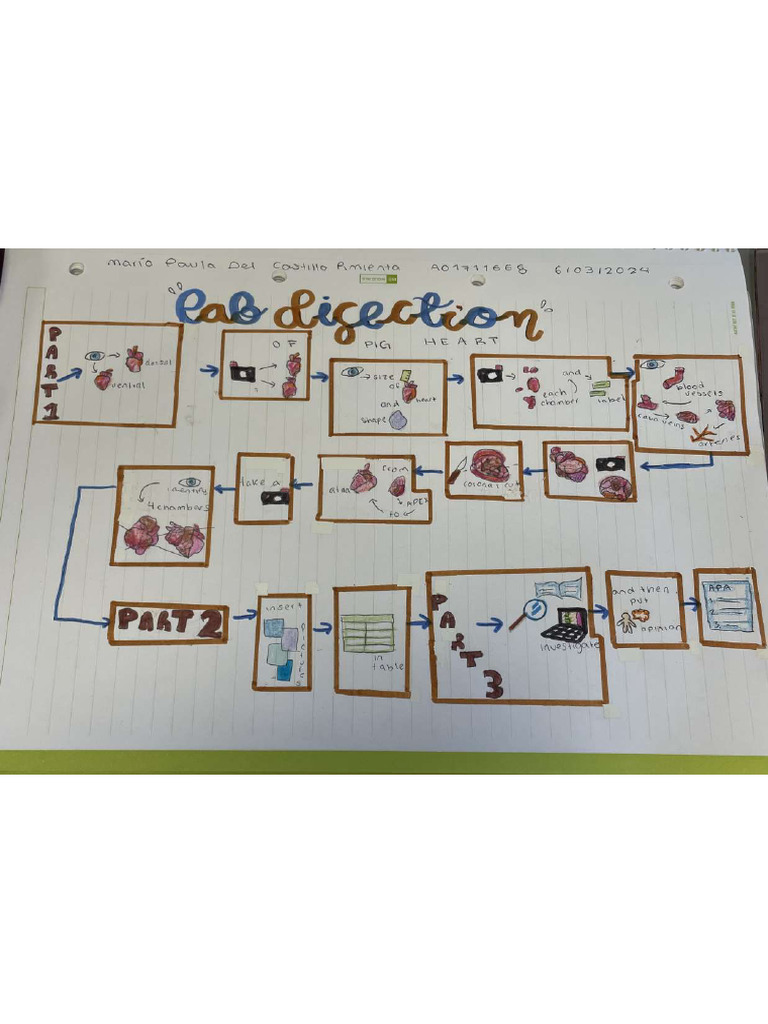 Flowchart Pigheart | PDF