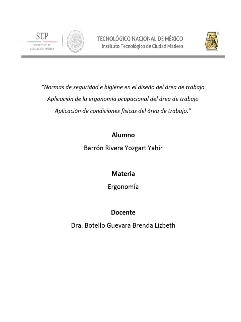 Normas de Seguridad e Higiene | PDF | Tecnología e ingeniería