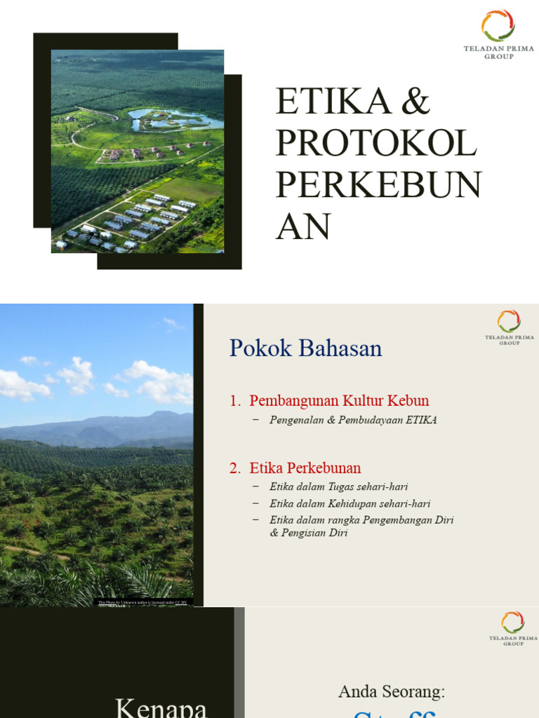 Budaya & Etika Perkebunan | PDF | Bisnis | Pengembangan Diri