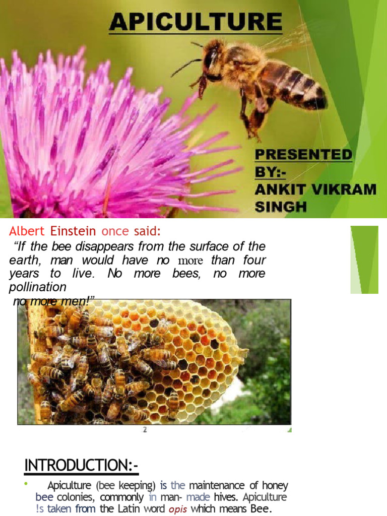 The Importance and History of Beekeeping | PDF