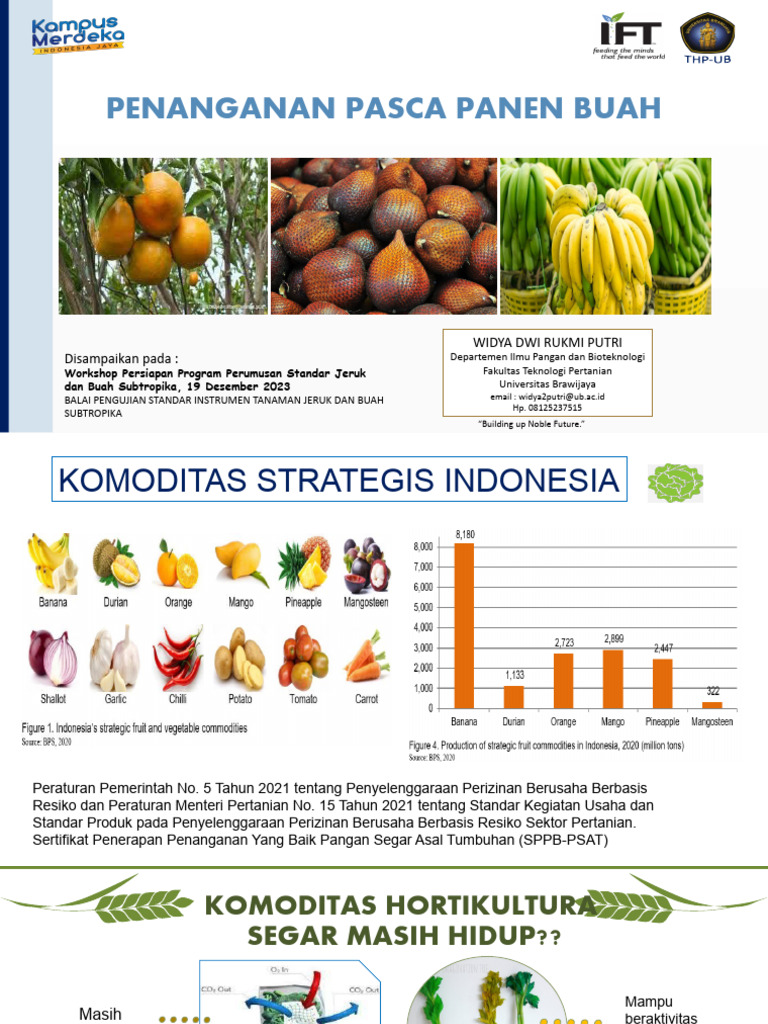 PENANGANAN PASCA PANEN BUAH - 19 DESEMBER 2023.pptx (NEW) | PDF