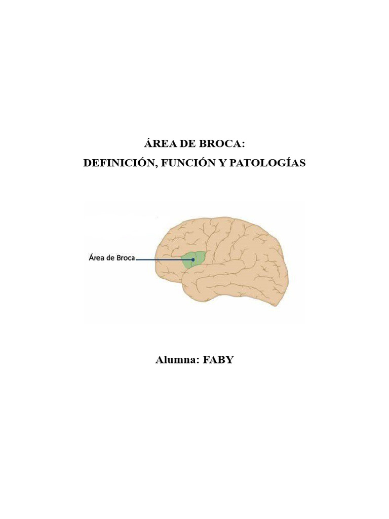 Función y Patologías del Área de Broca | PDF | Afasia | Cerebro