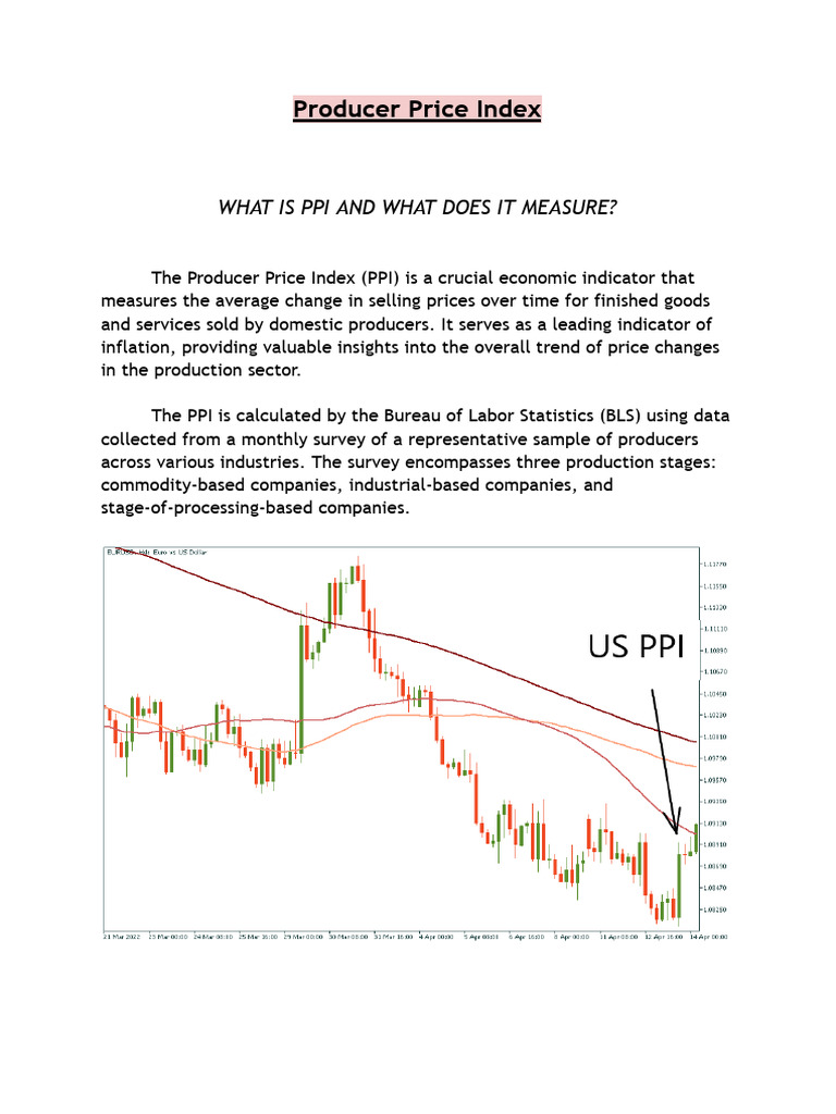 Understanding Producer Price Index (PPI) | PDF
