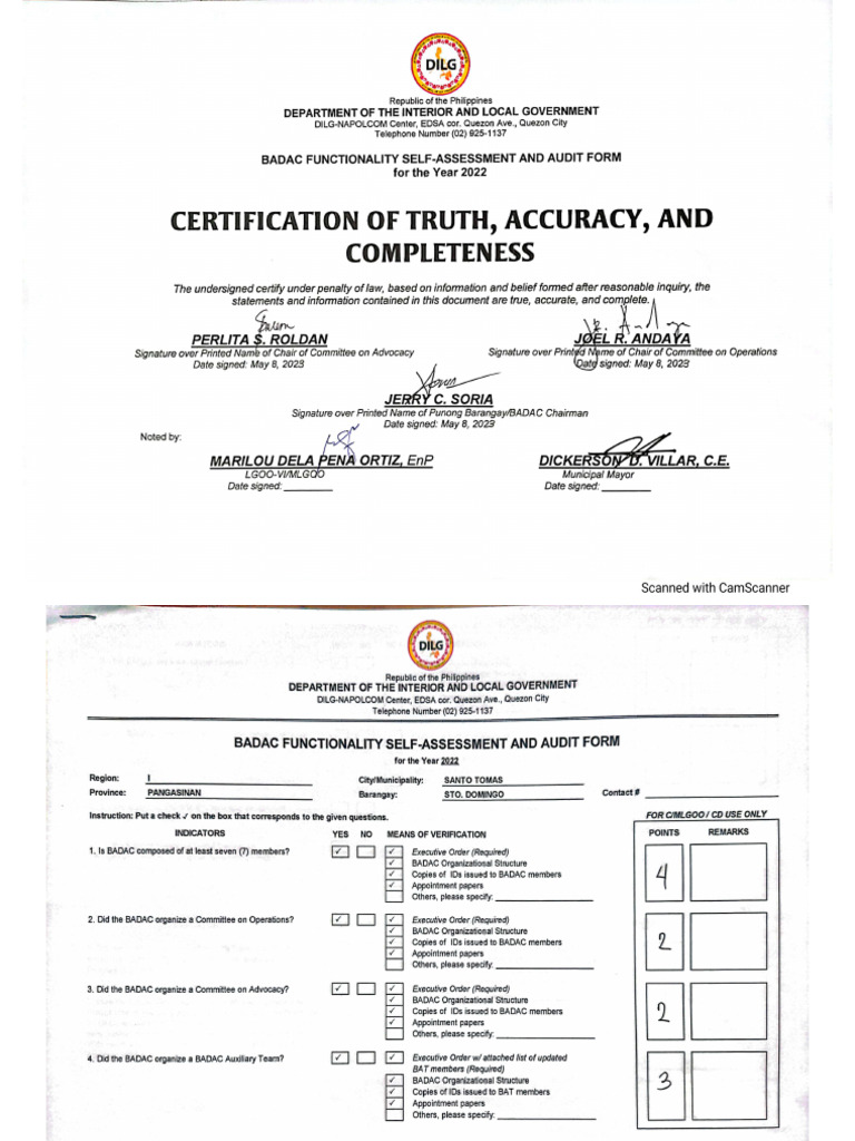 Brgy Sto. Domingo Self-Assesstment Form and Attestation | PDF