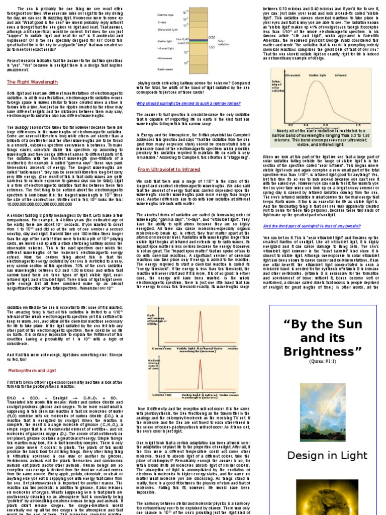 Light | PDF | Science & Mathematics | Young Adult