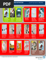 Trolley Setup Guide | PDF