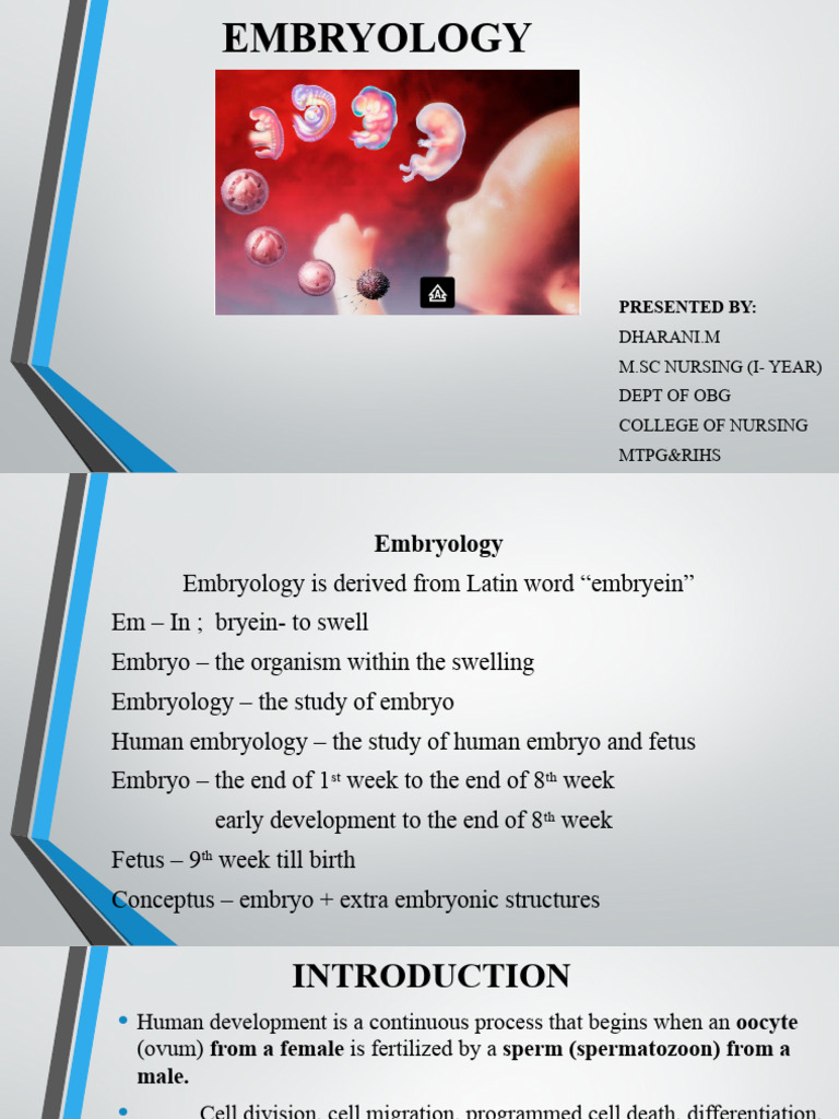 Embryology | PDF | Embryo | Fertilisation