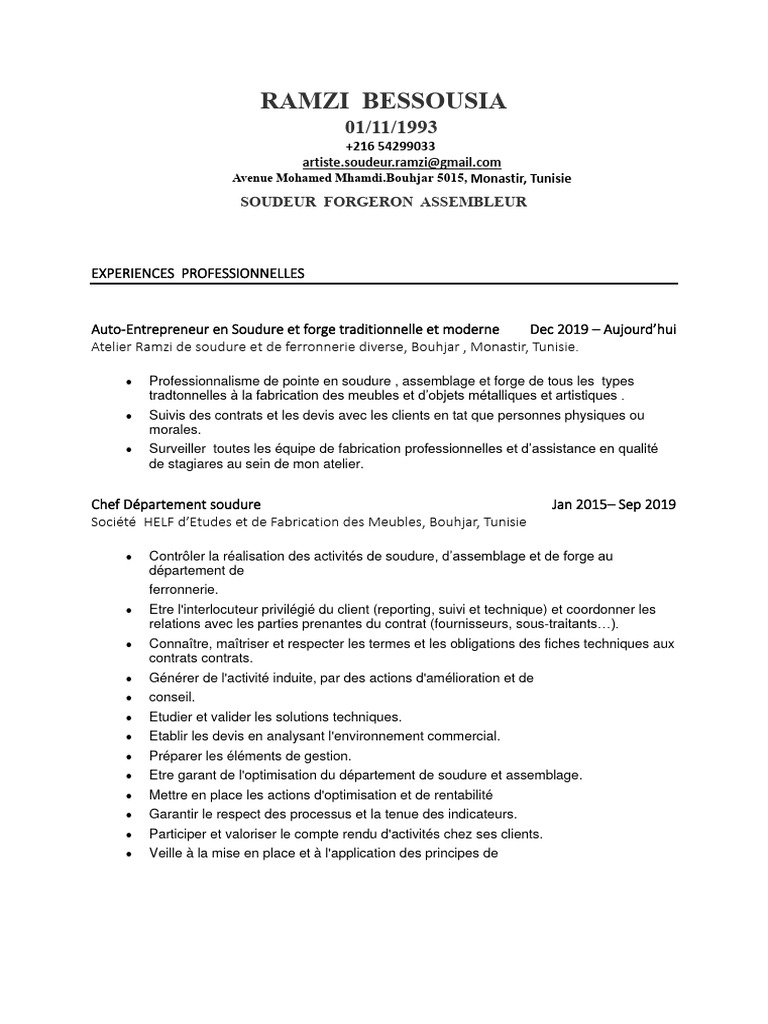 CV RAMZI BESSOUSIA Convertido 3 | PDF