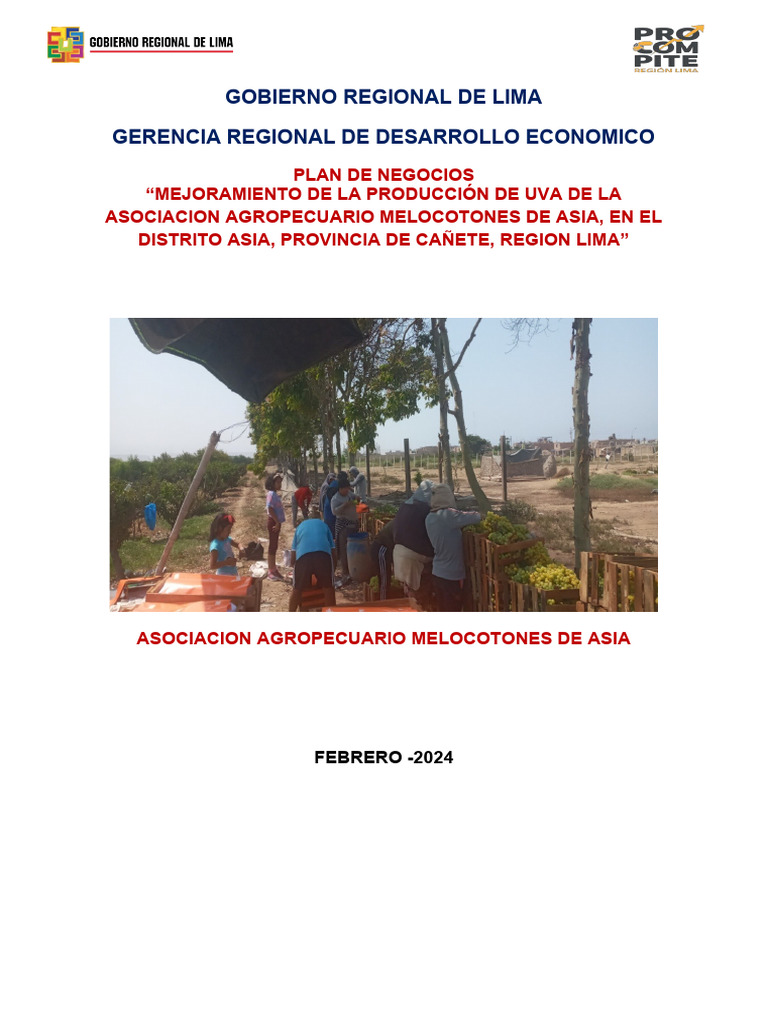 PLAN Melocotones | PDF