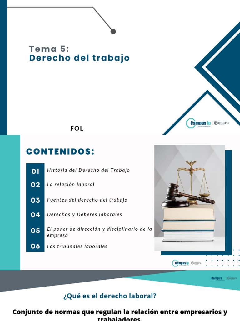 Tema 5 FOL | PDF | Derecho laboral | Labor
