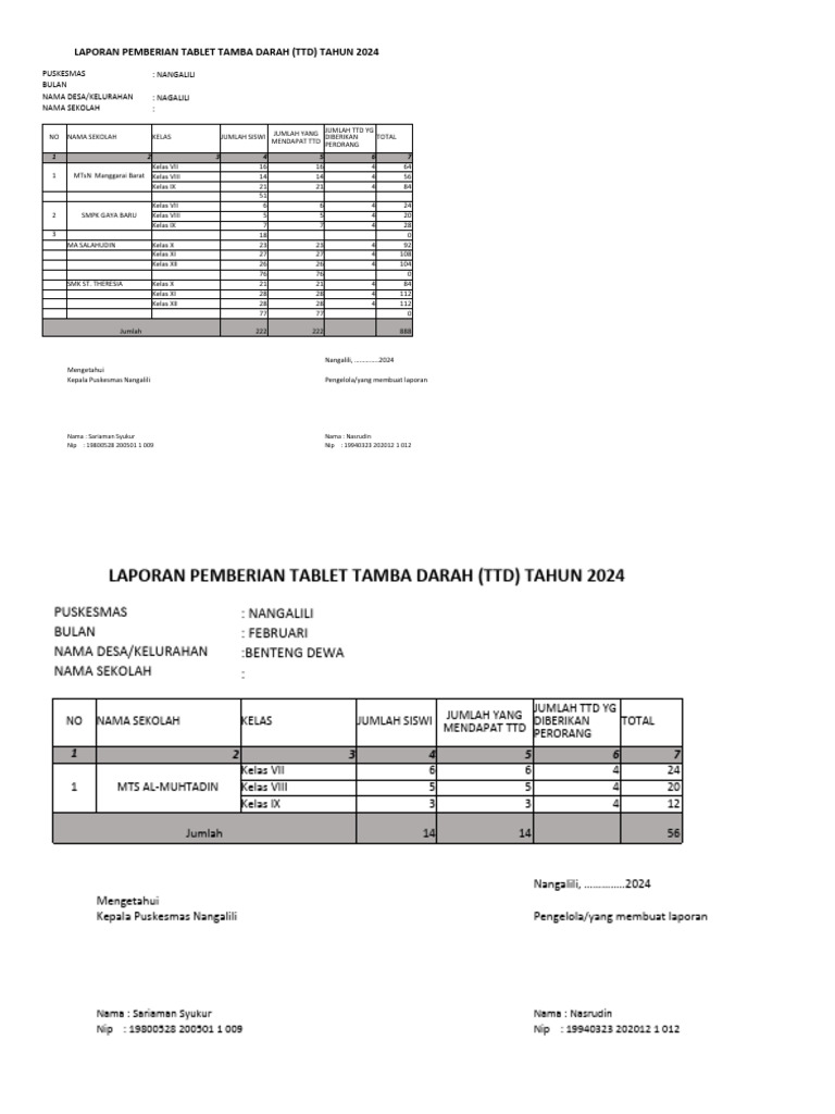 Format Lap TTD 2024-1 | PDF